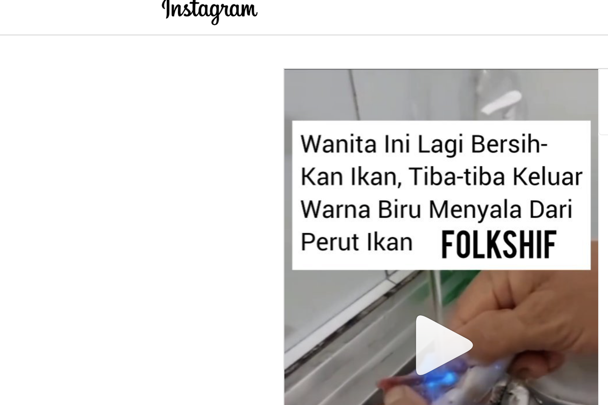 Viral, Video Cahaya Biru Menyala di Dalam Perut Ikan, Apa Itu?