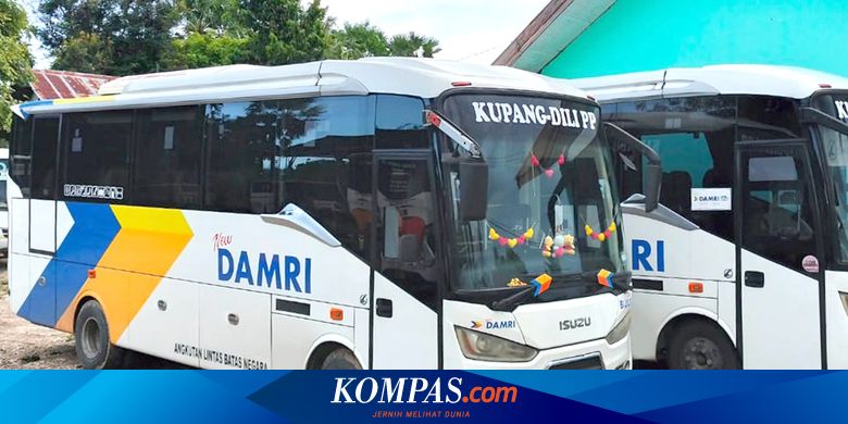 Mau ke Timor Leste, Bisa Naik Bus DAMRI