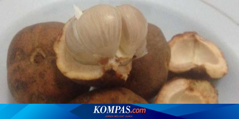 Ini Baru Namanya Buah Hutan Khas Kalteng