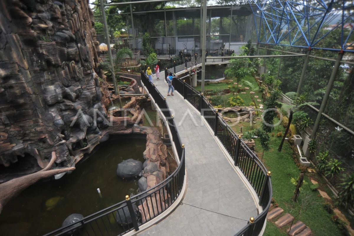 Kinantan Bird Park Bukittinggi: Harga Tiket, Lokasi, dan Jam Buka