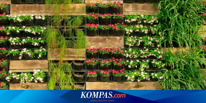 Cara Membuat Taman Vertikal Sederhana, Bisa Pakai Pot dan Botol Bekas