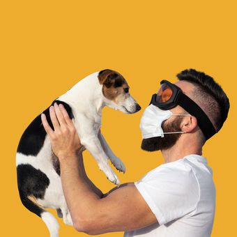 Bisakah Anjing Mengenali Pemiliknya yang Mengenakan Masker? Halaman all ...