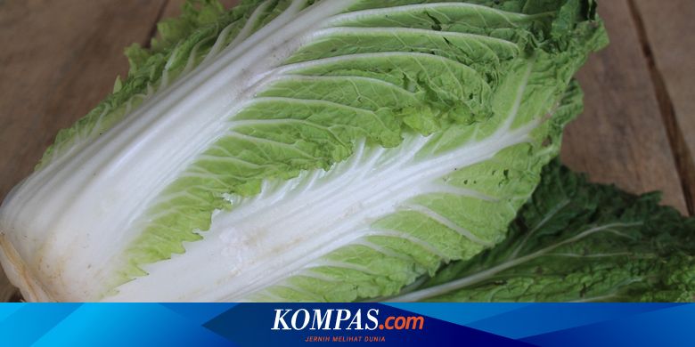 Cara Menanam Sawi Putih Lengkap dengan Perawatannya