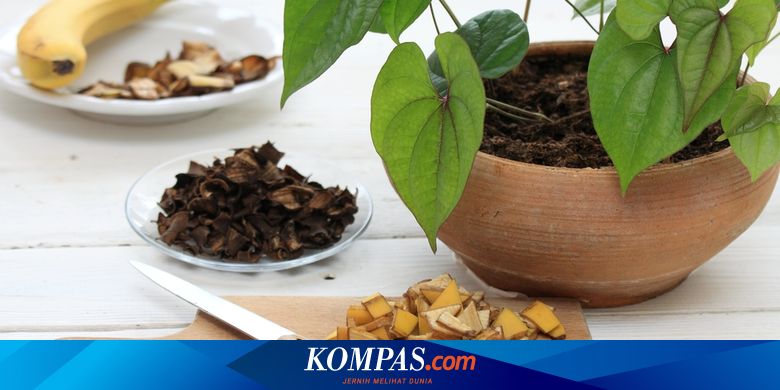 Manfaat dan Cara Membuat Pupuk Kalium untuk Tanaman