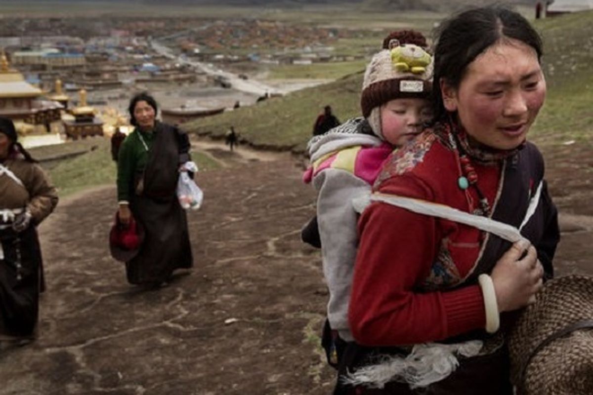 Bukti Manusia Masih Berevolusi, Tubuh Orang Tibet Beradaptasi dengan ...