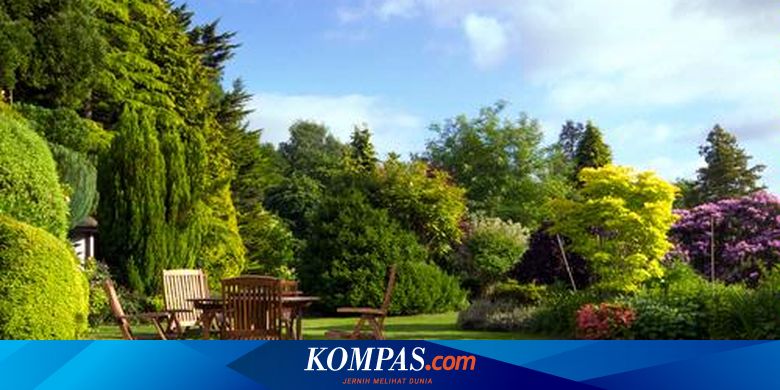 Variasi Tanaman untuk Taman Vertikal