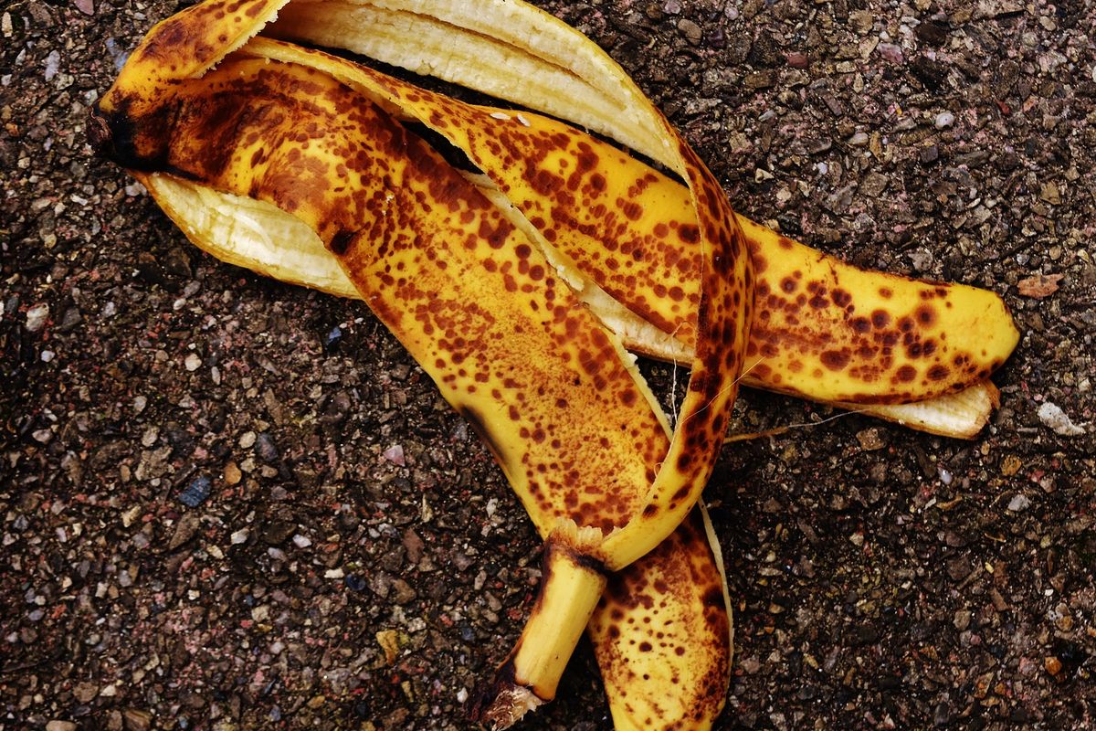 [KLARIFIKASI] Bintik Hitam pada Kulit Pisang Mengandung TNF