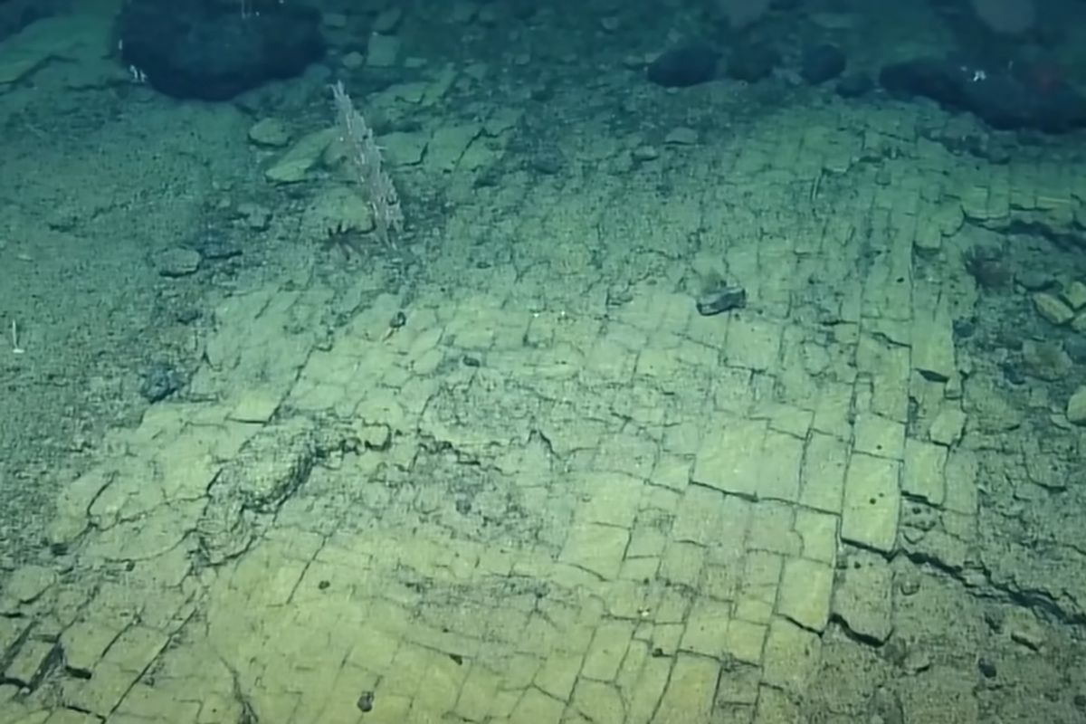 Ilmuwan Temukan Jalan Batu Bata Kuning di Dasar Samudra Pasifik, Bukan ...