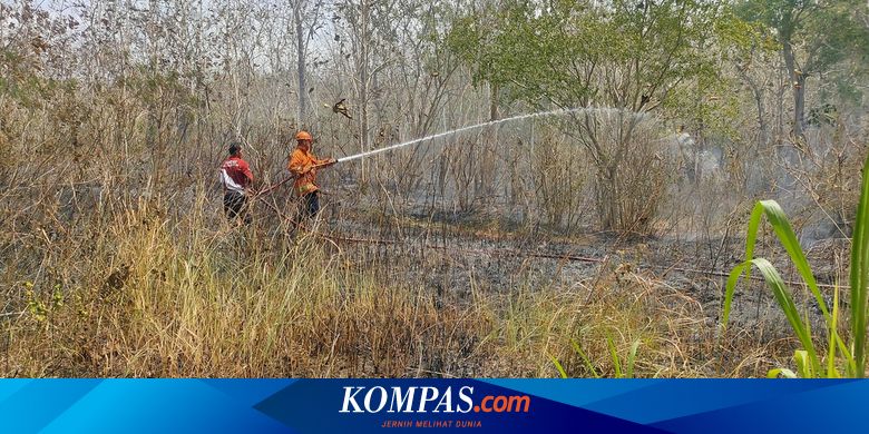 Lahan Seluas 1 Hektar di Kulon Progo Terbakar, Diduga Akibat Pembakaran Sampah
