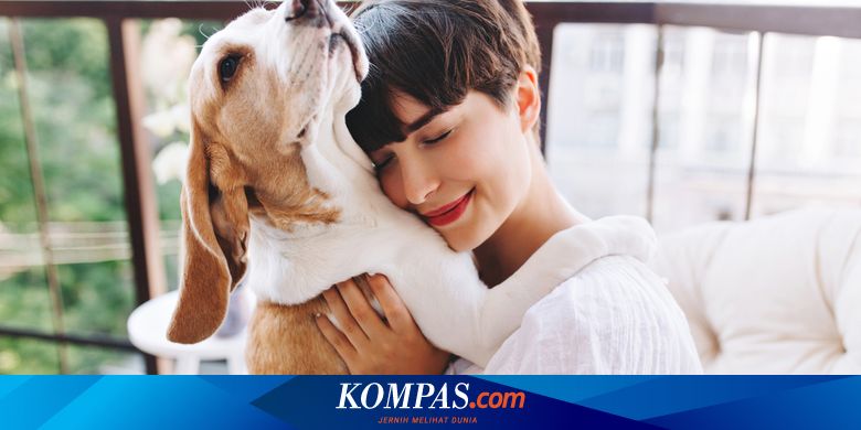 Ternyata, Memeluk Anjing Sangat Bermanfaat untuk Kesehatan Mental
