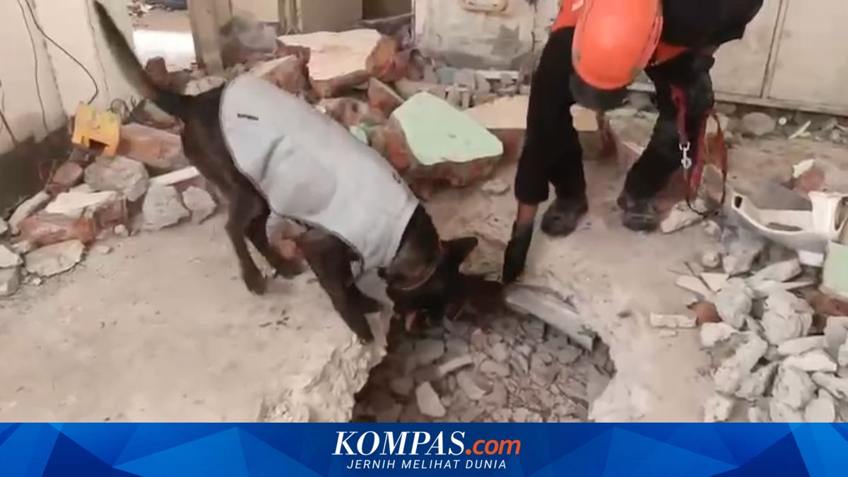 Tim K9 Polri Turut Bantu Temukan Korban Gempa Myanmar