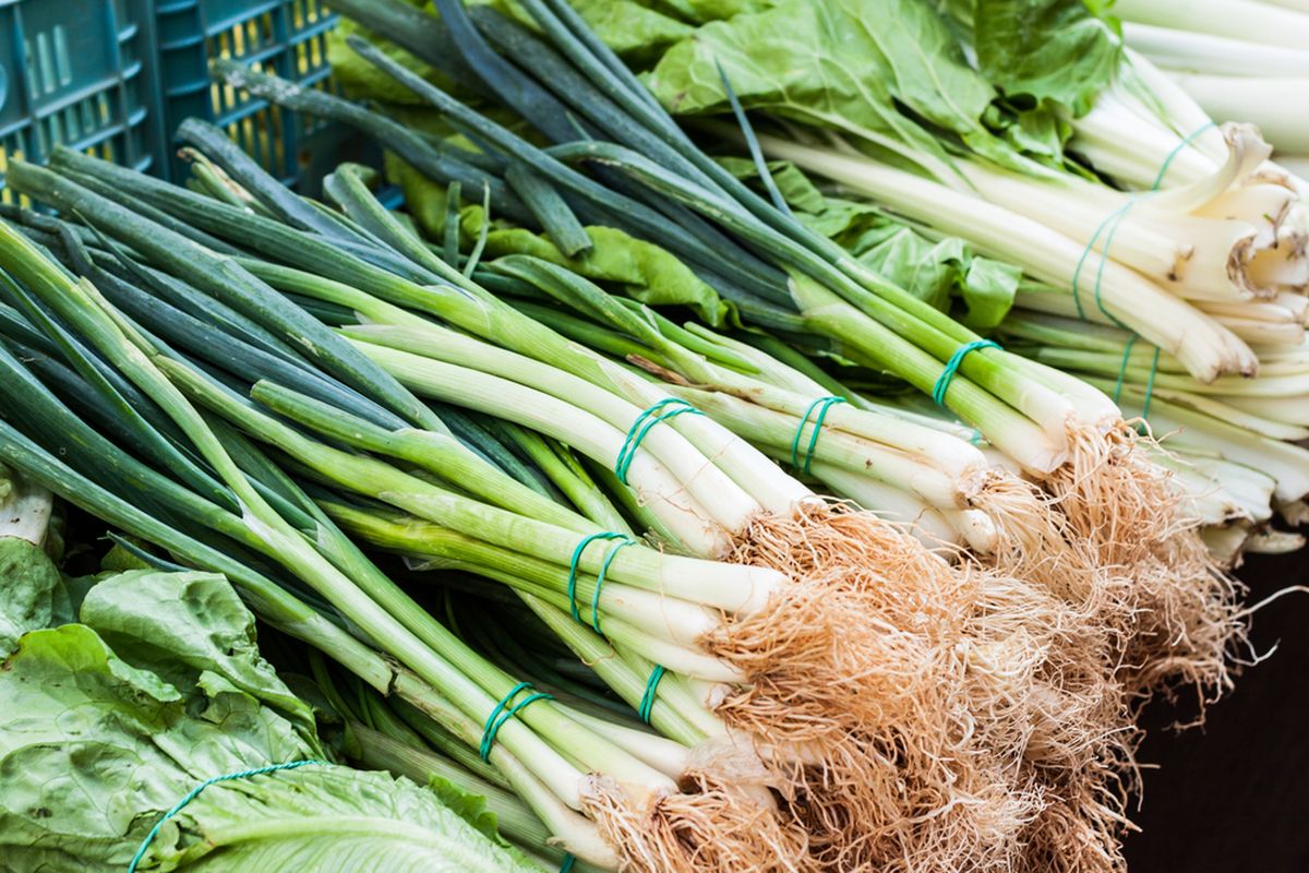 Apa Bedanya Daun Bawang dan Lokio yang Sekilas Mirip?
