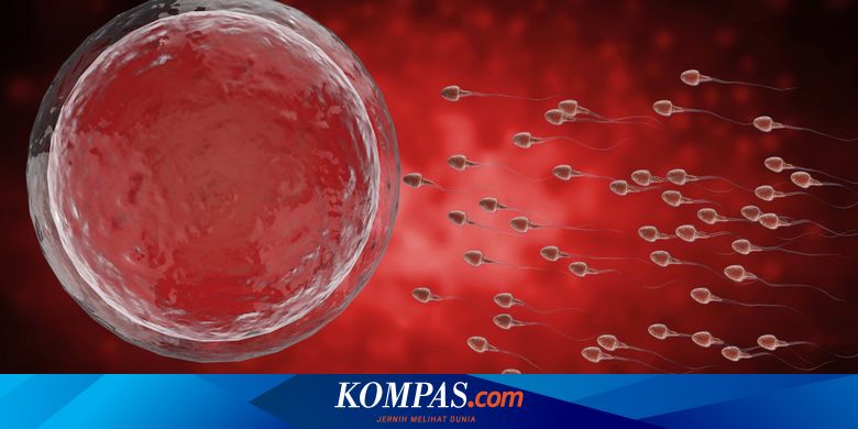 Hari Ini dalam Sejarah: Kelahiran Bayi Pertama Hasil Transfer Embrio