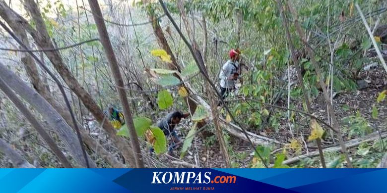 10 Bulan Menghilang, Pria di Bima Ditemukan Jadi Tengkorak, Dikenali ...