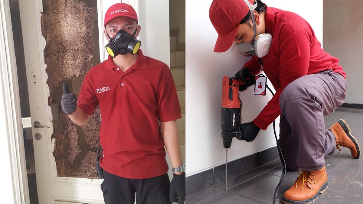 Fumida, Jasa Anti Rayap Profesional untuk Lindungi Aset Berharga