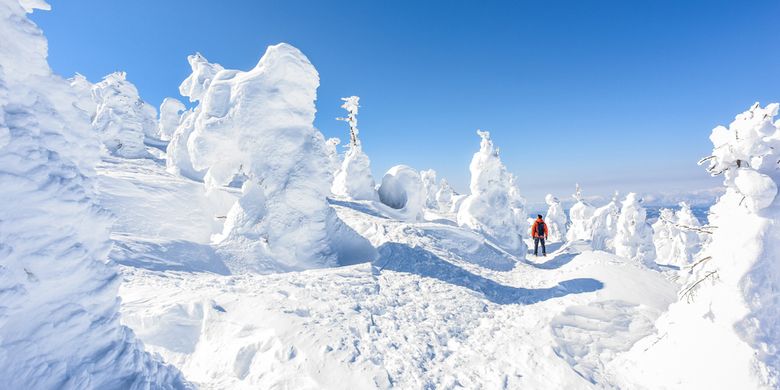 Jenis Salju dan Manfaatnya