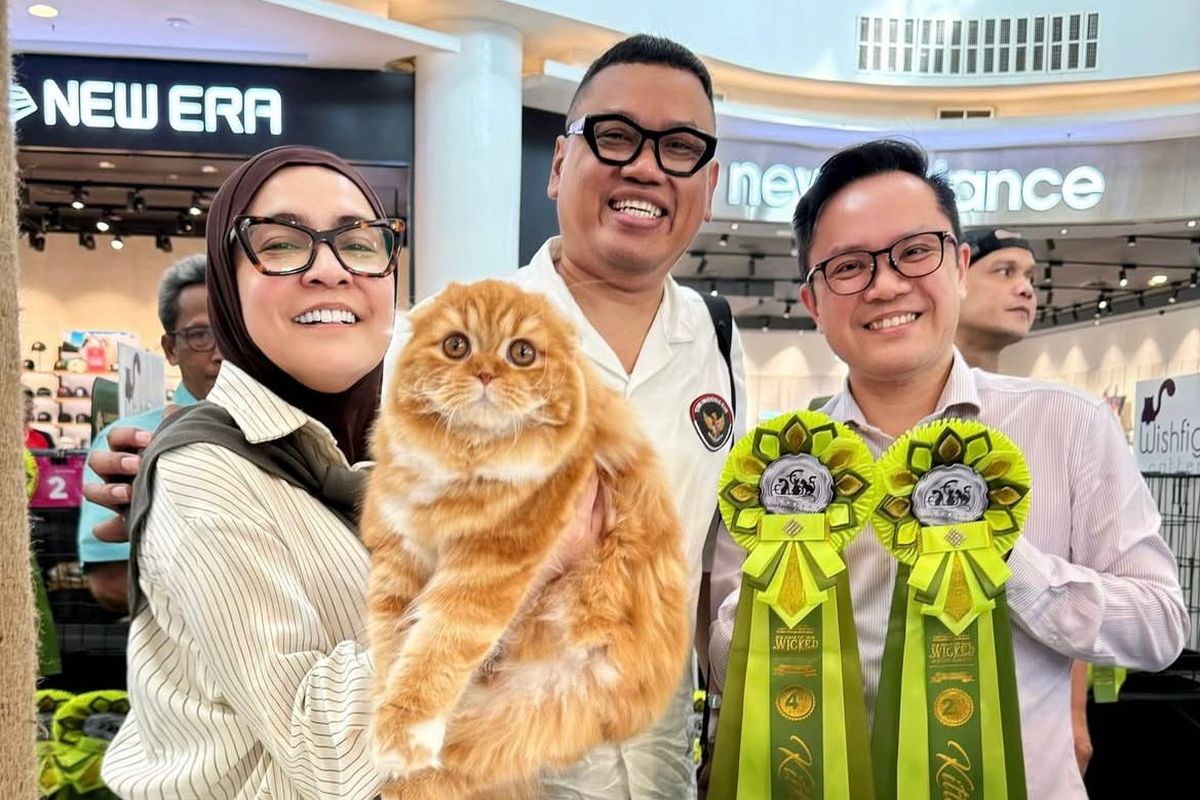Kucing Uya Kuya Raih Juara 1 di Ajang Feline Fancier Federation