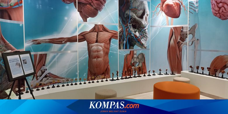 iMuseum IMERI FKUI: Lokasi, Jam Buka, dan Harga Tiket Masuk