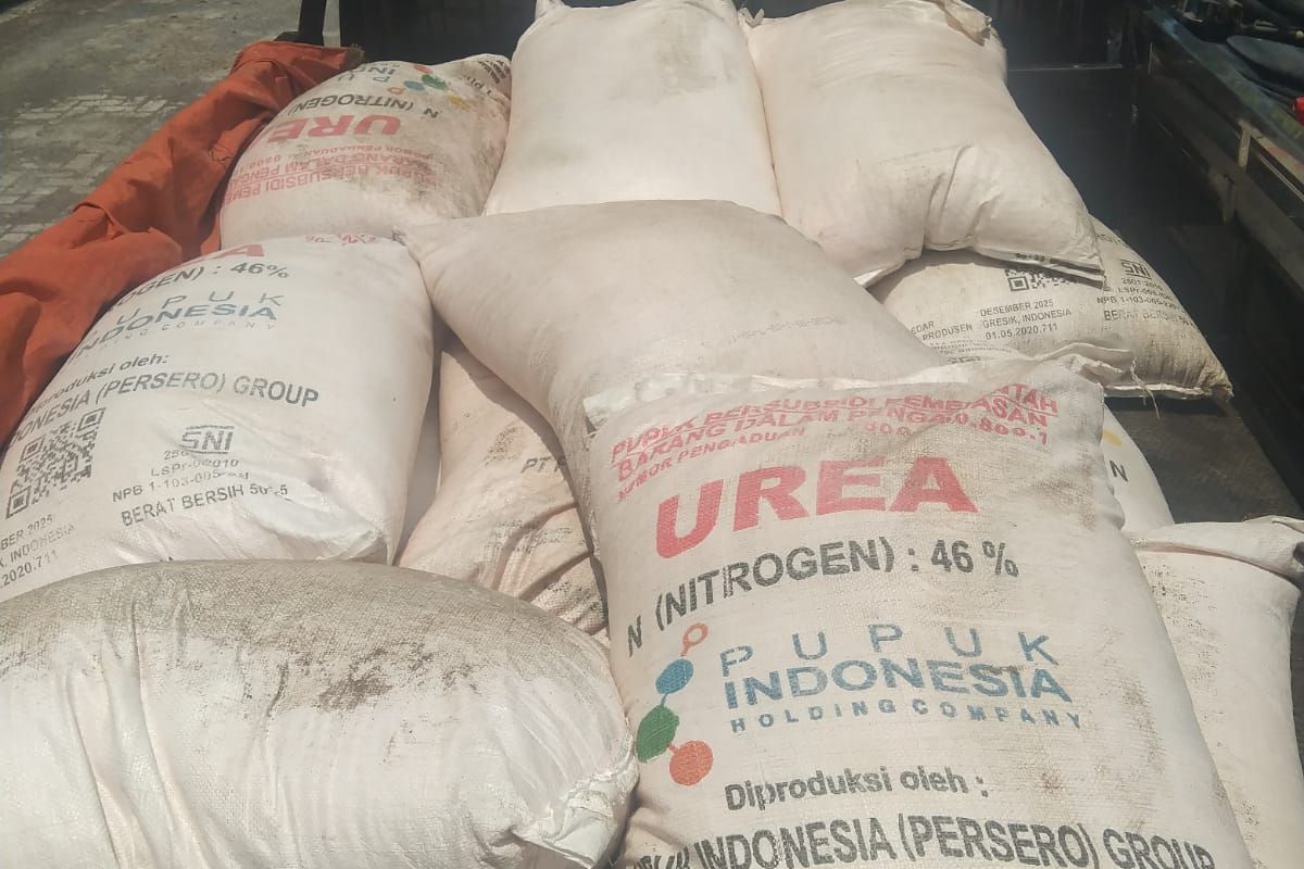 Pria di Situbondo Diduga Selundupkan 700 Kg Pupuk Urea Subsidi dari Madura
