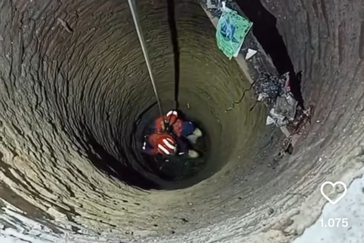 Viral! Damkar Semarang Evakuasi Kambing Hamil Terjebak 3 Hari di Sumur