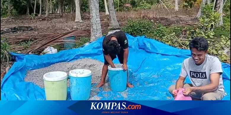 Ikan Penja Serbu Pantai Mateng, Nelayan Panen Hingga 1.000 Termos Sehari