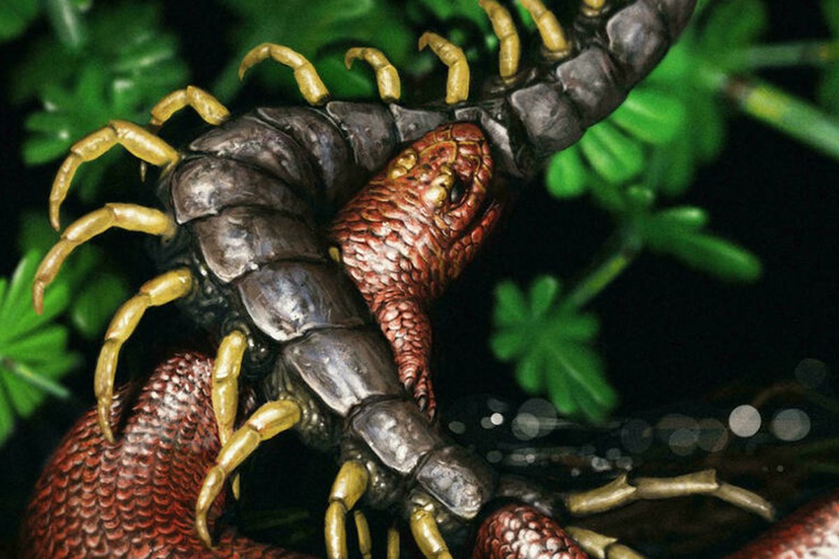 Ahli Temukan Nenek Moyang Reptil, Berusia 308 Juta Tahun