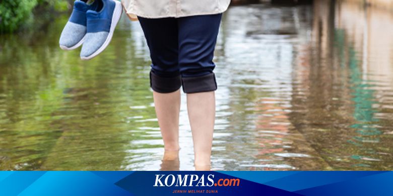 5 Cara Penularan Leptospirosis dan Pencegahannya