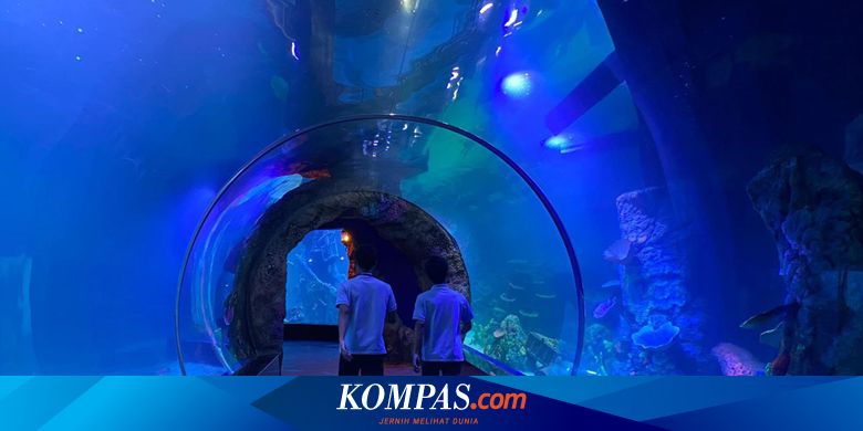 Oceanarium BXSea Bintaro: Harga Tiket Masuk dan Jam Buka