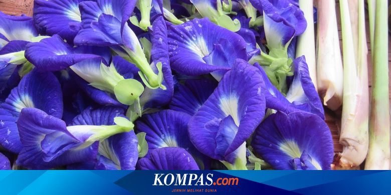 Mengenal Edible Flower, Bunga Cantik yang Bisa Dimakan dan Baik untuk ...