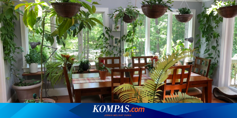 5 Tips Mewujudkan Konsep Hutan dalam Ruangan pada Hunian