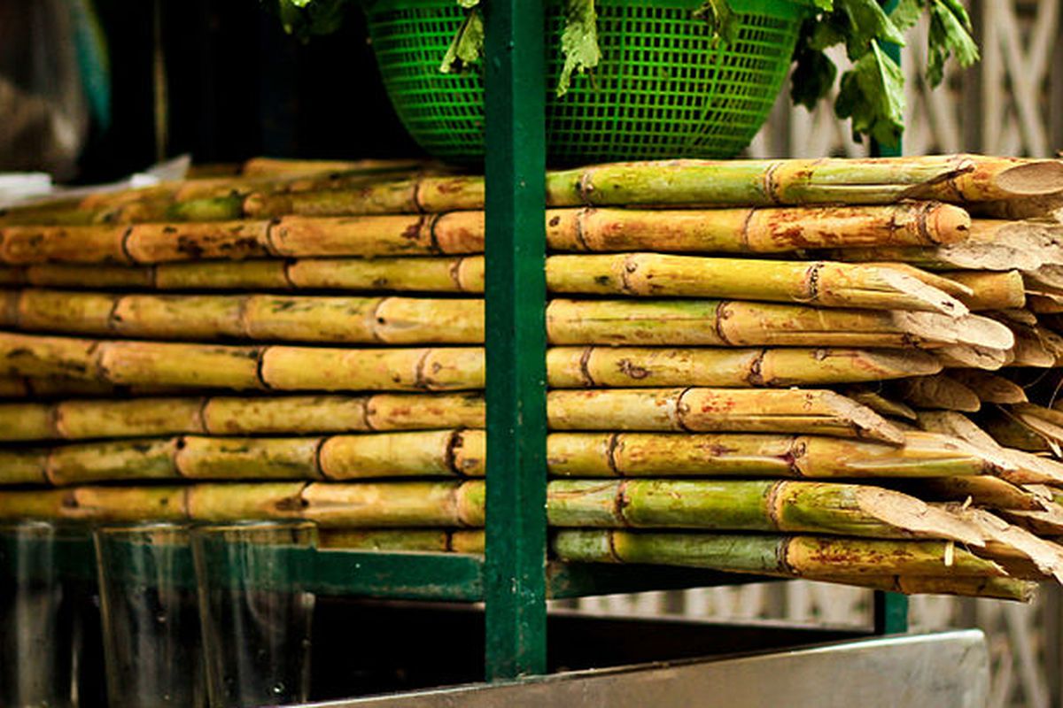 Industri Gula Diminta Serap Hasil Panen Petani Tebu Sesuai Harga Acuan