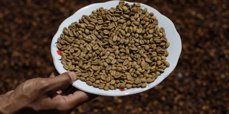 Kopi Liberika, Kalah Jauh dari Arabika dan Robusta