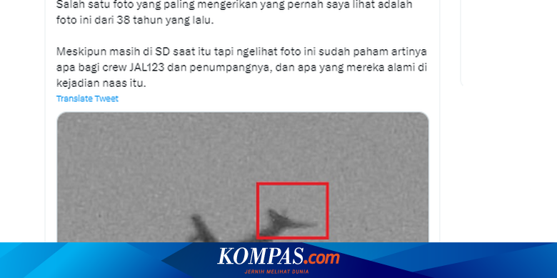 The Tragic Story of Japan Airlines Flight 123: One of the Deadliest ...