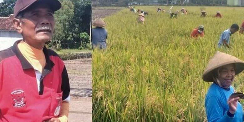 Indonesia’s Village Head in Central Java Provides Free Rice to ...