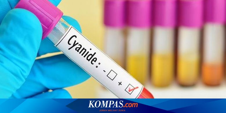 Kenali Apa Itu Sianida dan Efeknya pada Tubuh
