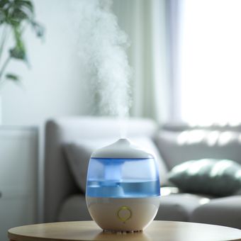 4 Masalah Menggunakan Humidifier di Rumah dan Cara Mengatasinya