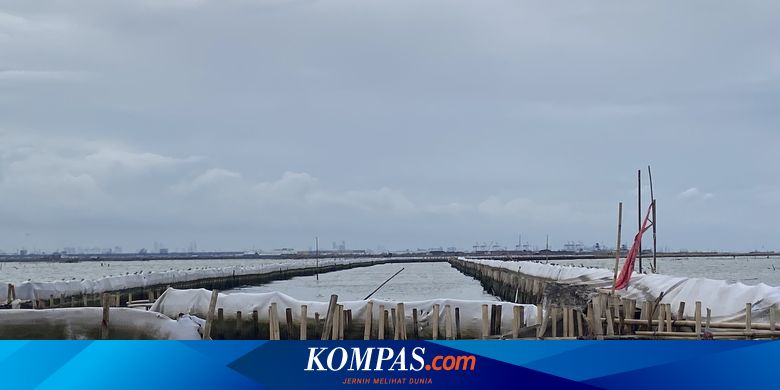 Dedi Mulyadi Usul Pagar Laut Bekasi Dibongkar karena Tak Berizin