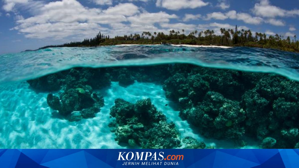 Wilayah Perancis Dekat Indonesia Akan Jadi “Negara” Baru, Macron Setuju