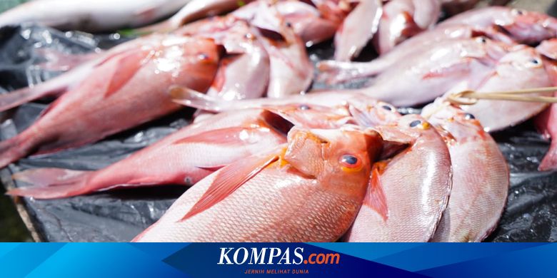KKP Boyong Produk Perikanan Indonesia sampai ke 138 Negara