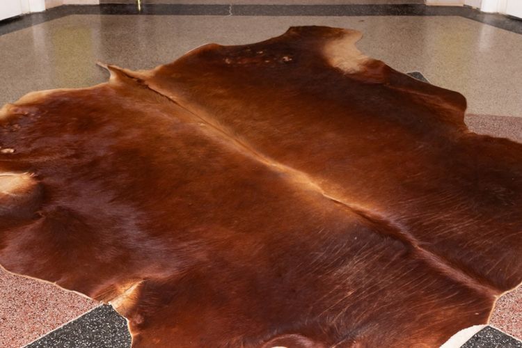 Cara Membersihkan Karpet Kulit Sapi dengan Benar