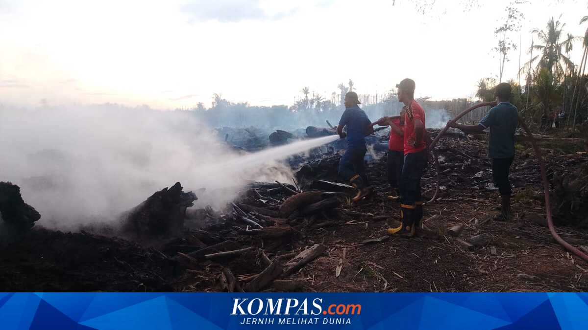 Cuaca Panas dan Angin Kencang Picu Karhutla Meluas di Aceh, Nagan Raya ...