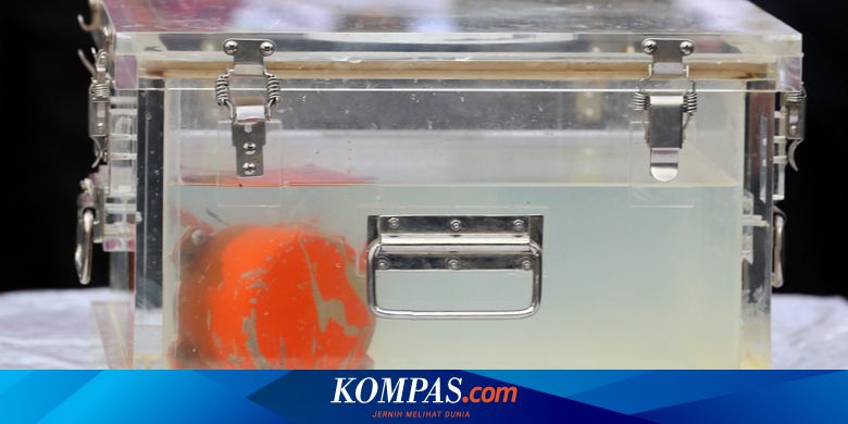 7 Fakta Black Box, Komponen Penting Pesawat yang Jarang Orang Ketahui