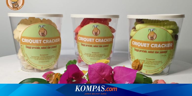 "Criquet Cracker", Kue Lezat Tinggi Protein dari Tepung Jangkrik ...