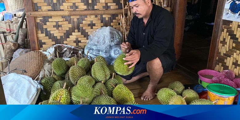 Berburu Durian di Baduy, Destinasi Wisata yang Wajib Dikunjungi