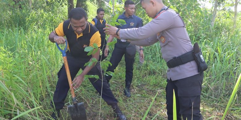 Berita Harian 1.000 Pohon Cagar Alam Cycloop Terbaru Hari Ini - Kompas.com