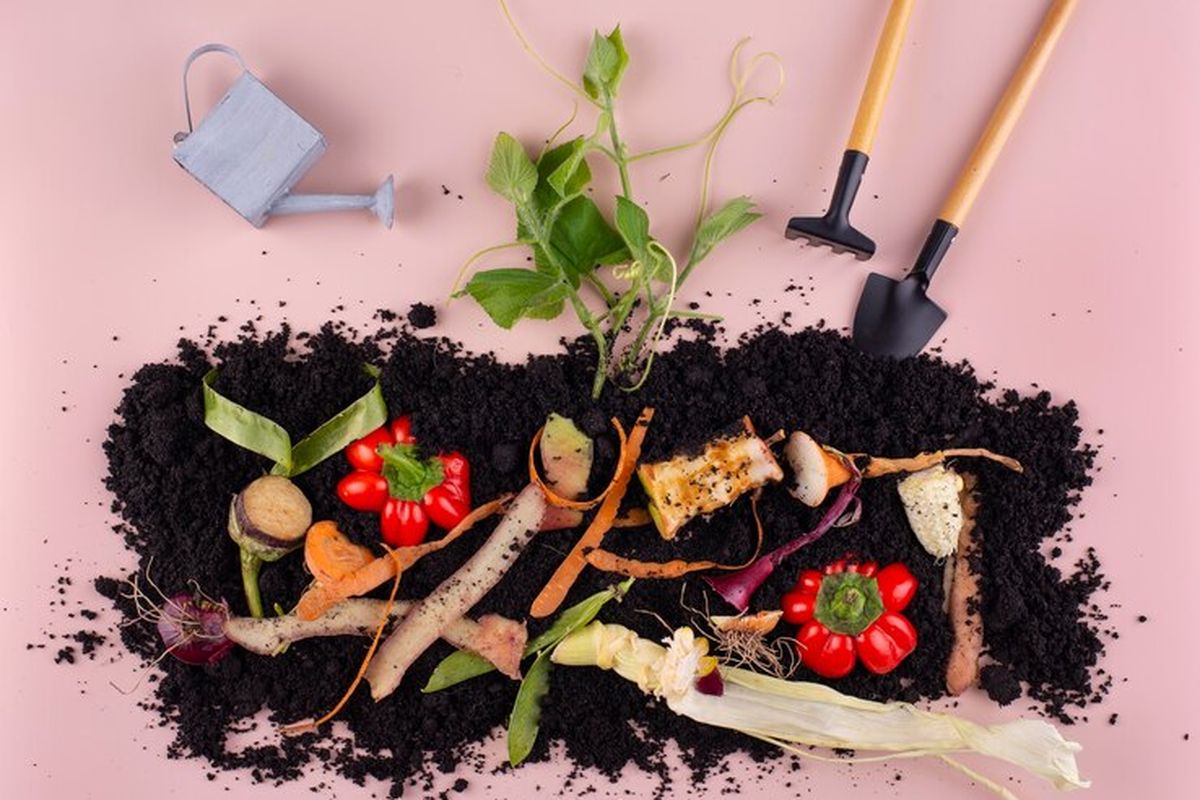 9 Manfaat Kompos dalam Kehidupan Sehari-hari