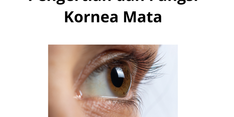 Pengertian dan Fungsi Kornea Mata