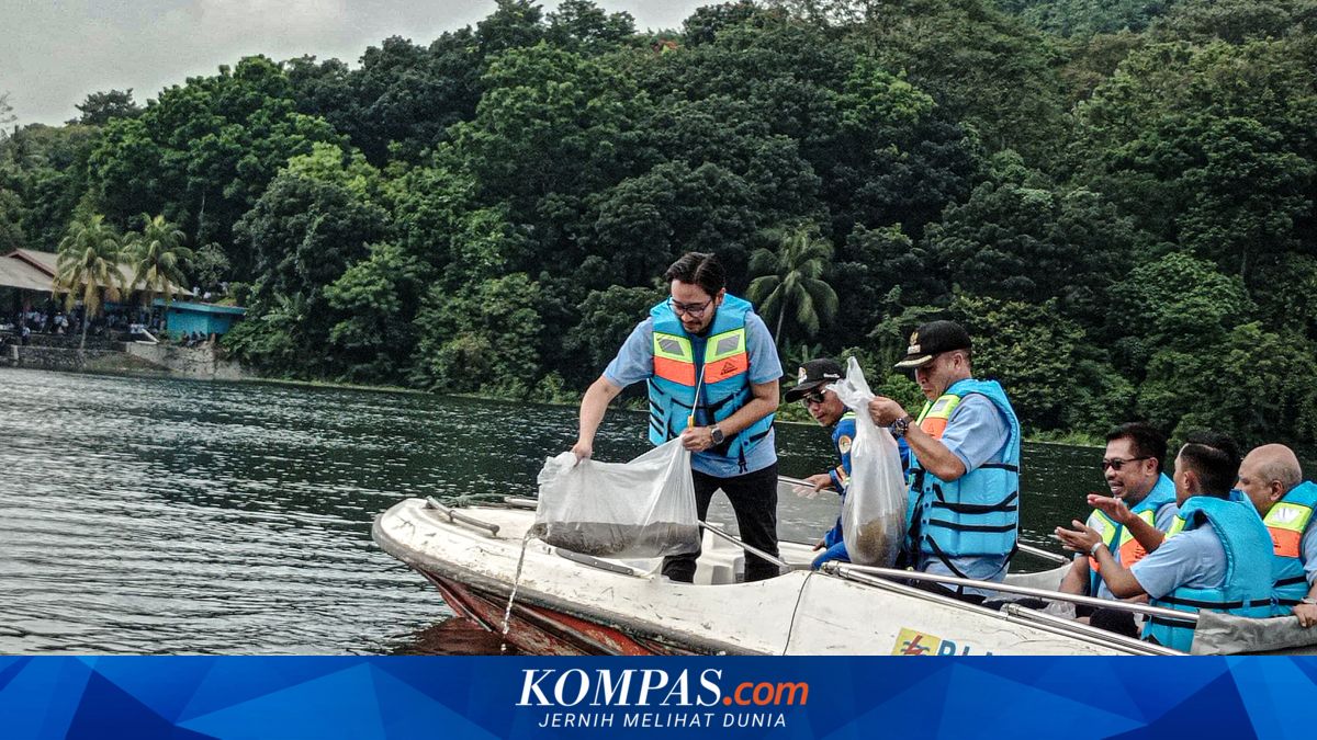 Menteri Kelautan Ungkap Ikan di Waduk Cirata Tak Layak Dimakan ...
