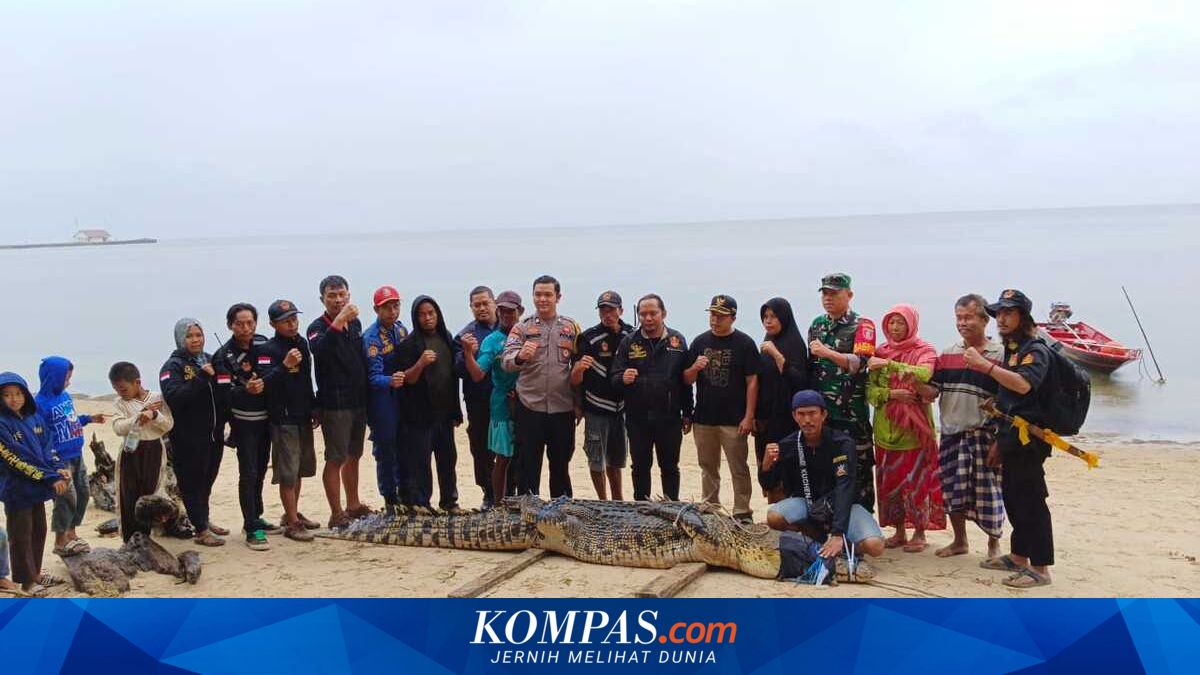 Buaya yang Terkam Bocah hingga Tewas di Kutai Timur Ditangkap Warga