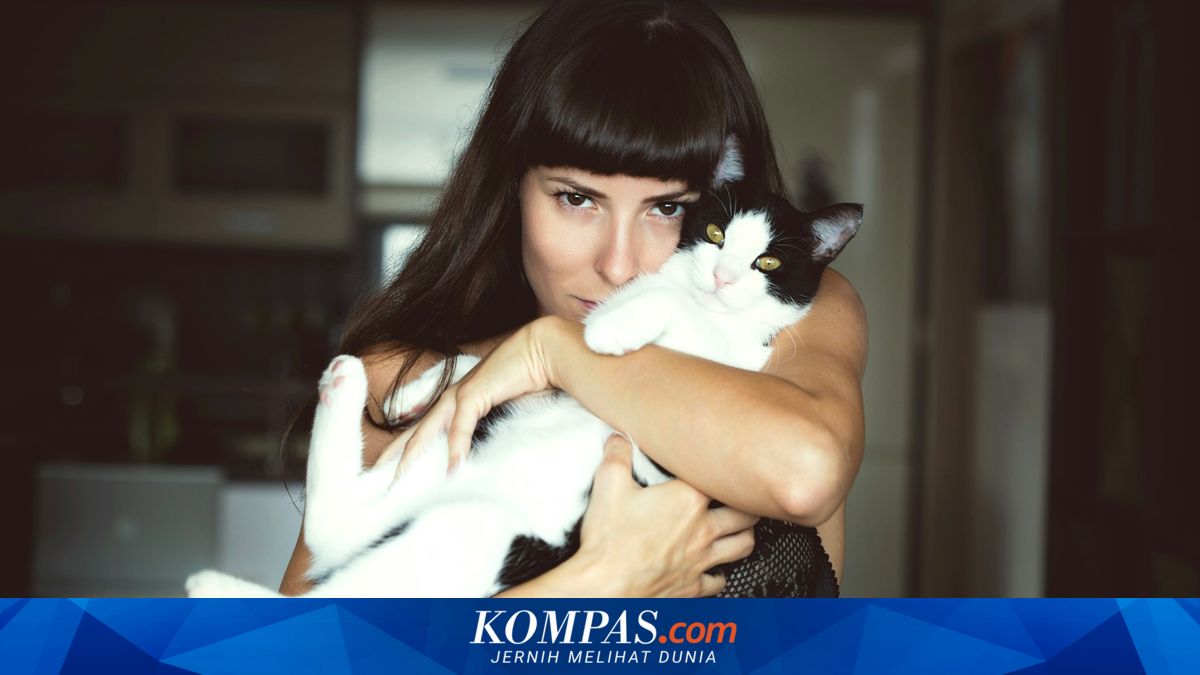Hari Peluk Kucing Nasional 4 Juni, Ini Sejarah dan Cara Merayakannya